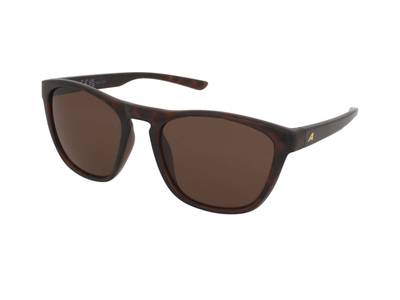 Sluneční brýle Alpina Gleam Havana Gloss/Brown